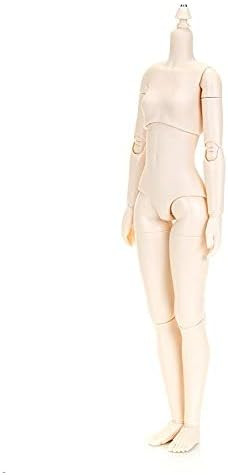 Obitsu Doll 24BD-F02W-S 24cm Obitsu Body Bust S New Whitey | eBay
