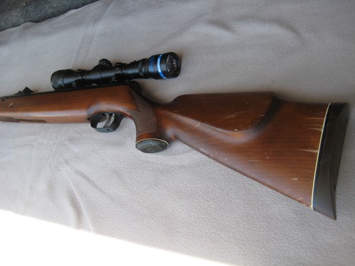 BEEMAN R1 in .177 Caliber with Blue Ribbon scope West Germany | eBay