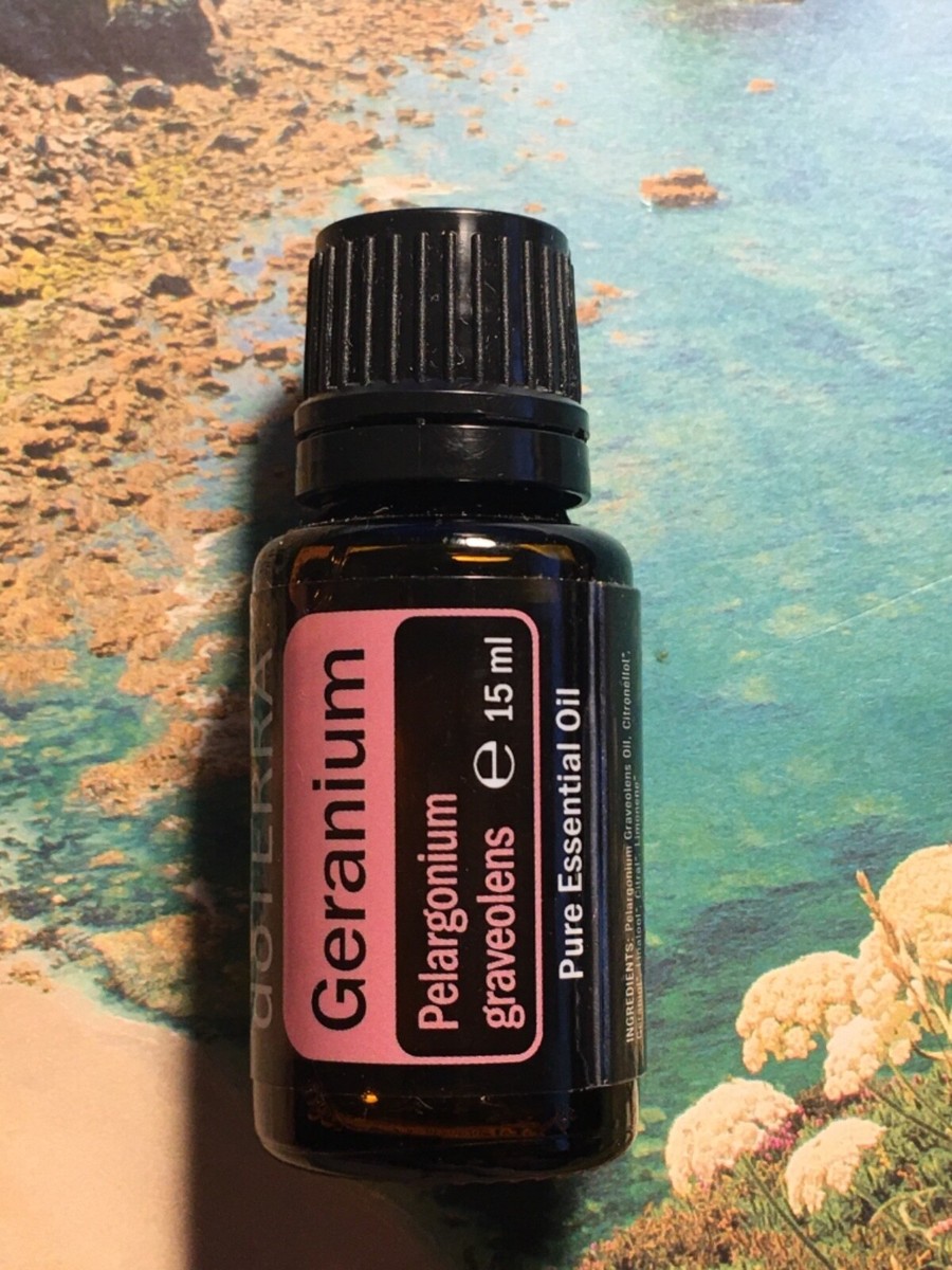 Oleo De Geranio Doterra Health Benefits Of Geranium Essential Oil