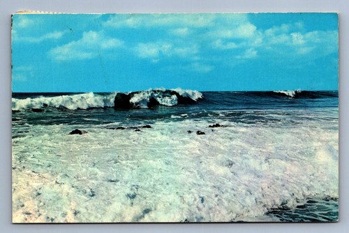 Postcard Vtg Ready For Surfing Ocean Waves Nature Outdoor | eBay