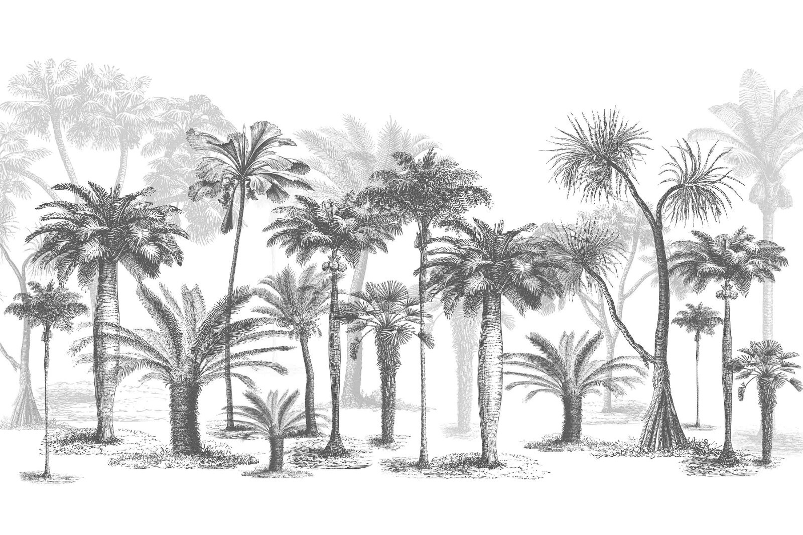 3D Hand Drawn Gray Coconut Tree Wall Murals Wallpaper Murals Wall ...