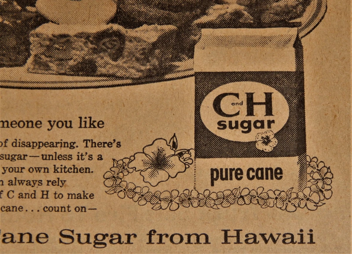 Sugar Cane Ads