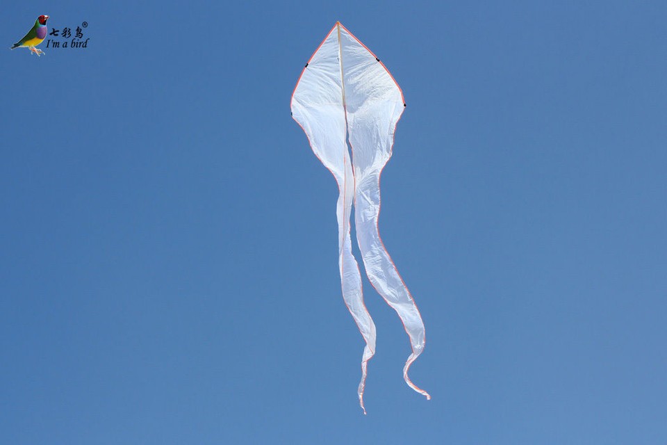 NEW novetly 22 ft 7m Ghost kite outdoor fun sports many color triangle ...