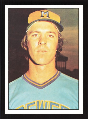 1976 SSPC #248 Rick Austin - Milwaukee Brewers | eBay