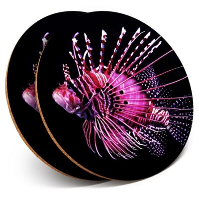 2 x Coasters - Pink Spot Fin Lion Fish Lionfish #46110 | eBay UK