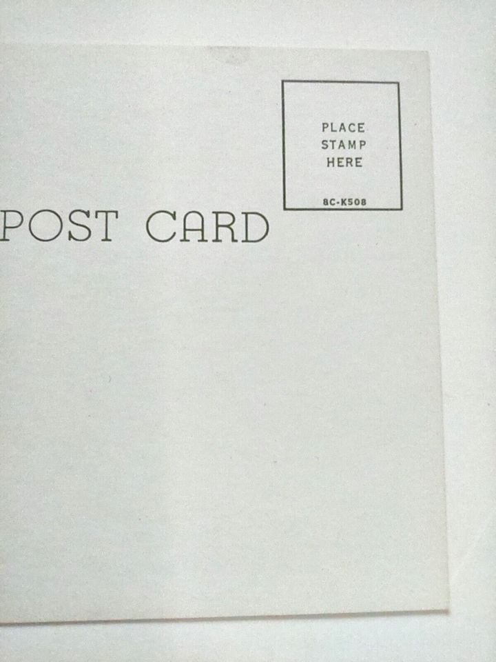 Pueblo Colorado CO Fuel and Iron Works Postcard Steel Mill Train ...