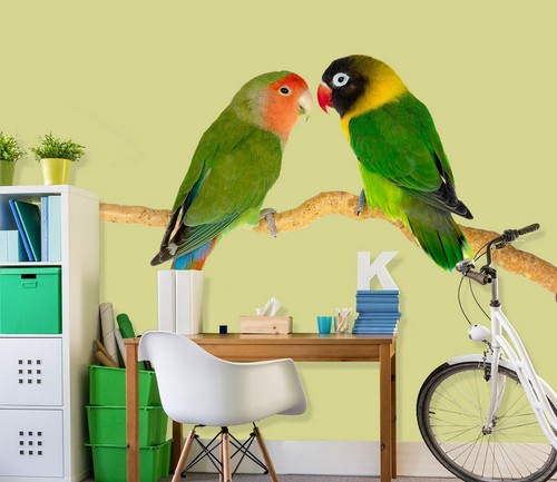 3D Green Parrot G242 Animal Wallpaper Mural Poster Wall Stickers Decal ...