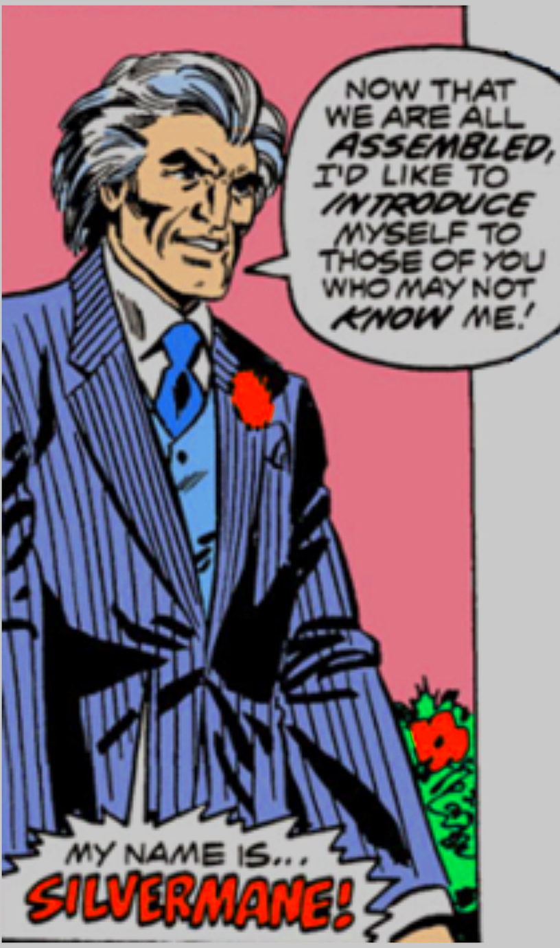 Hasbro Marvel Legends Silvermane CUSTOM Set of 2 | eBay