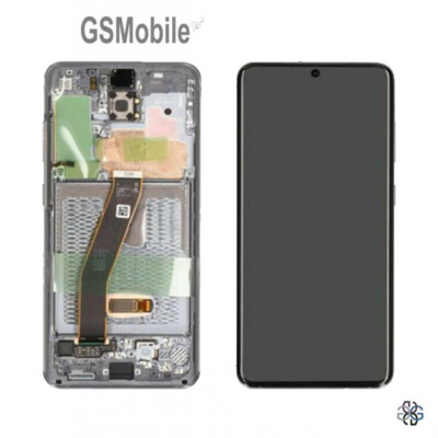 Display Ecran LCD Tactile Touch Cadre Gris Samsung Galaxy S20 5G G981 ...