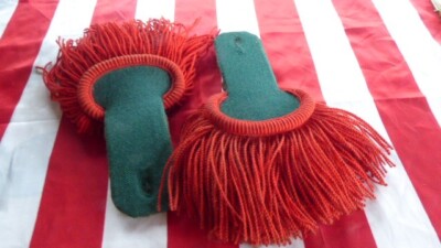 RARE EPAULETTES ANCIENNES LEGION ETRANGERE INDOCHINE? OU AVANT ? | eBay