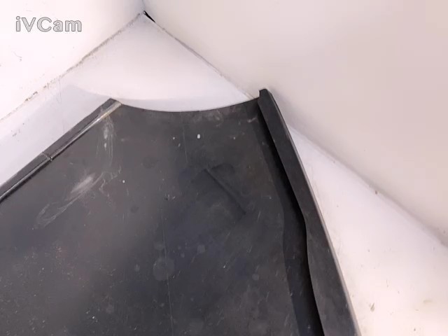 PANNELLO PORTIERA ESTERNO ANTERIORE DX PER SMART ForTwo Coupé (W450 ...