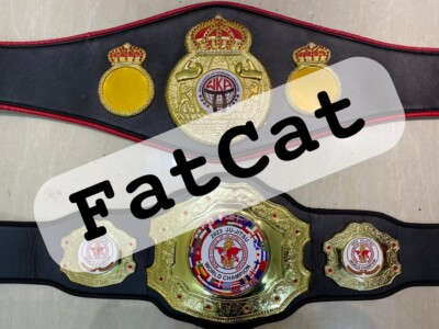 WKA & Ju-jitsu 2023 World Karate Kick Boxing Championship boxing Belt 2 ...