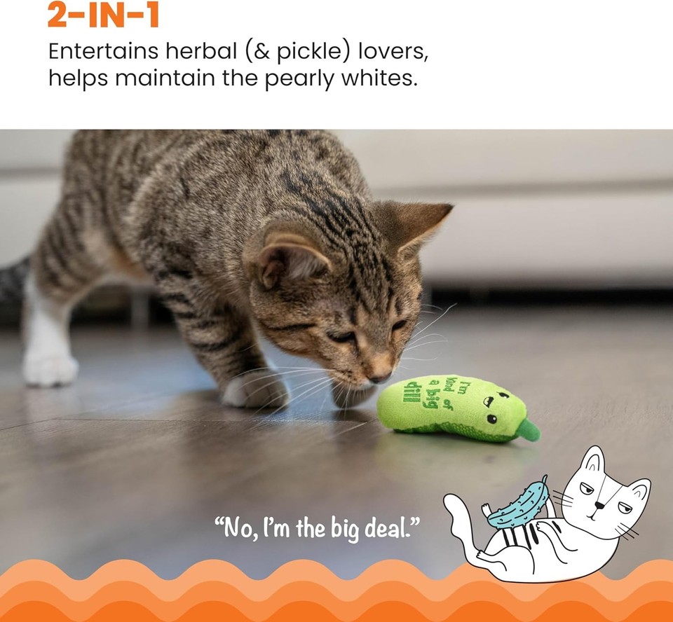 Crunchy Pickle Kicker Toy with Catnip and Dental Mesh, Pickle Shape ...