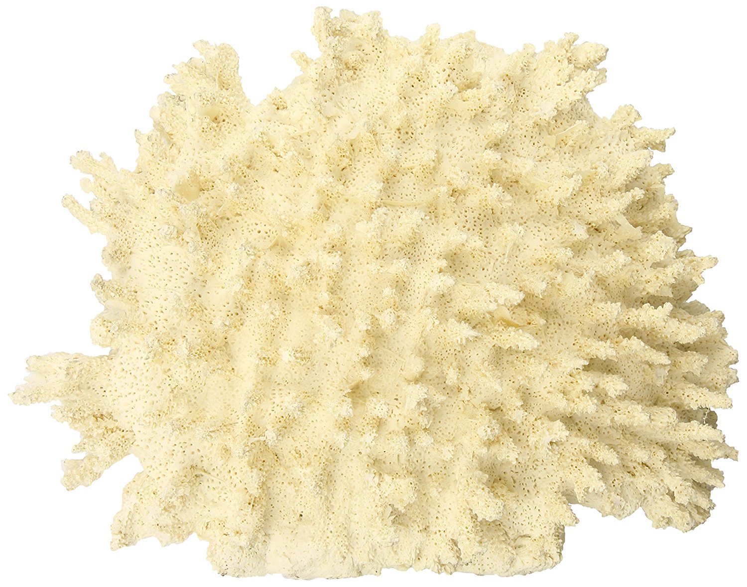 Table Coral Replica Reef Aquarium Nautical Decor Large | eBay