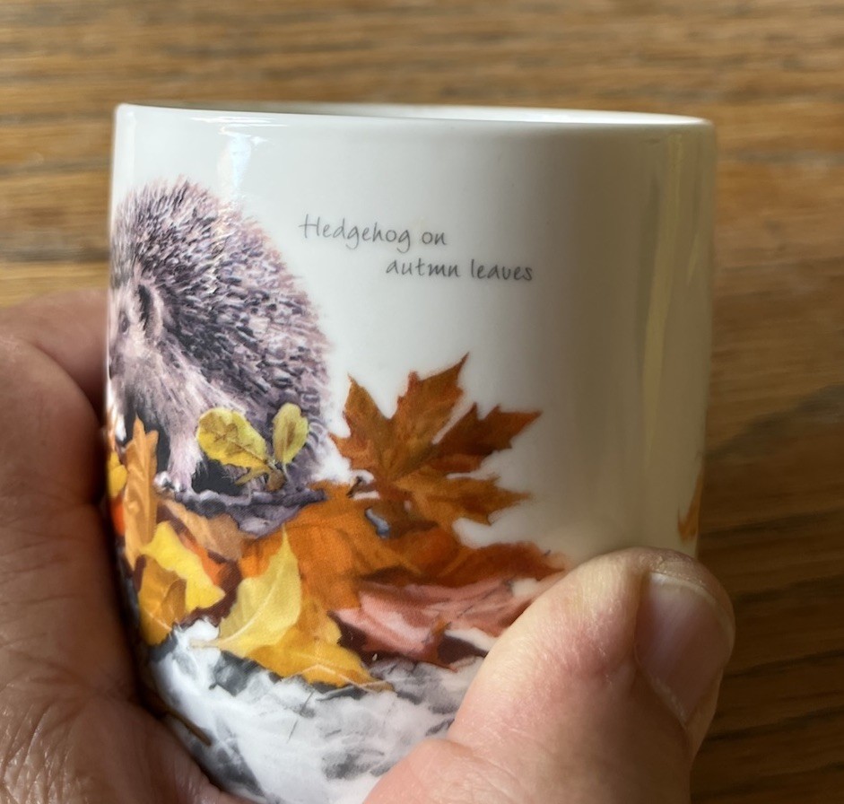 Richard Macneil Worcester Hedgehog On Autumn Leaves Mug | eBay UK