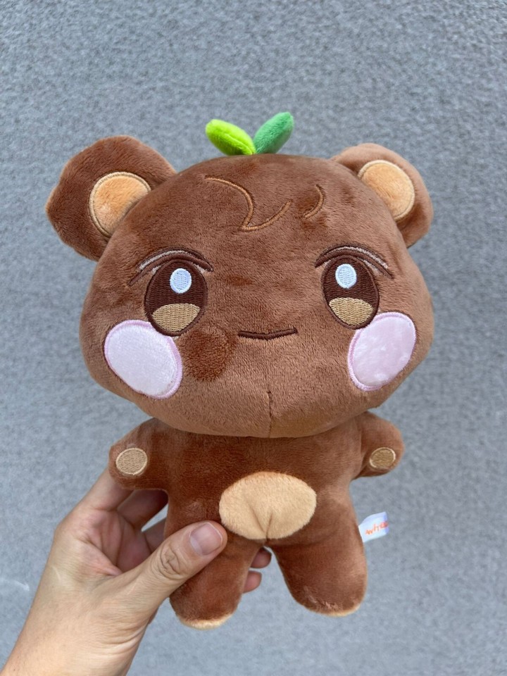 ATEEZ ANITEEZ Pop Up Plush Doll SANdeoki DDEONGbyeoli Cartoon ...