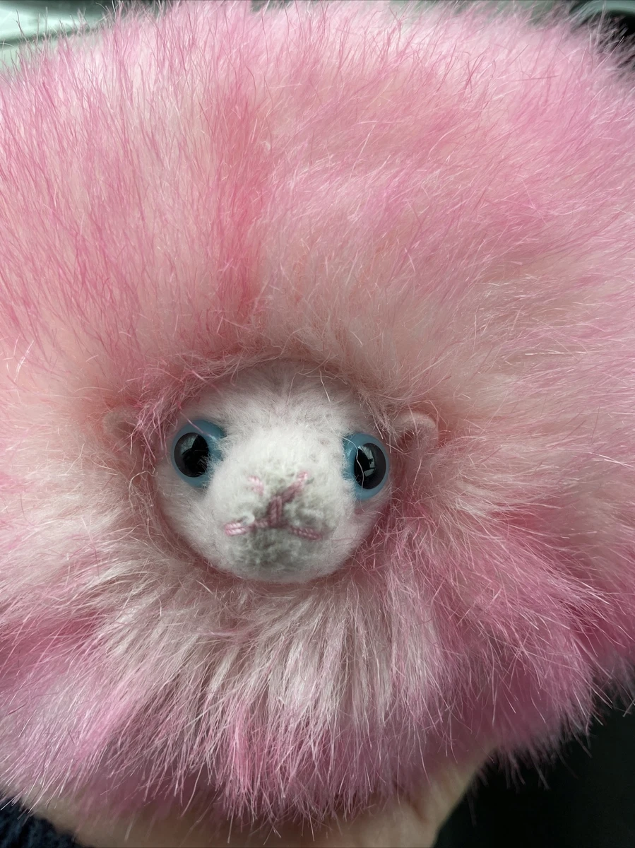 Pygmy Puffs Harry Potter