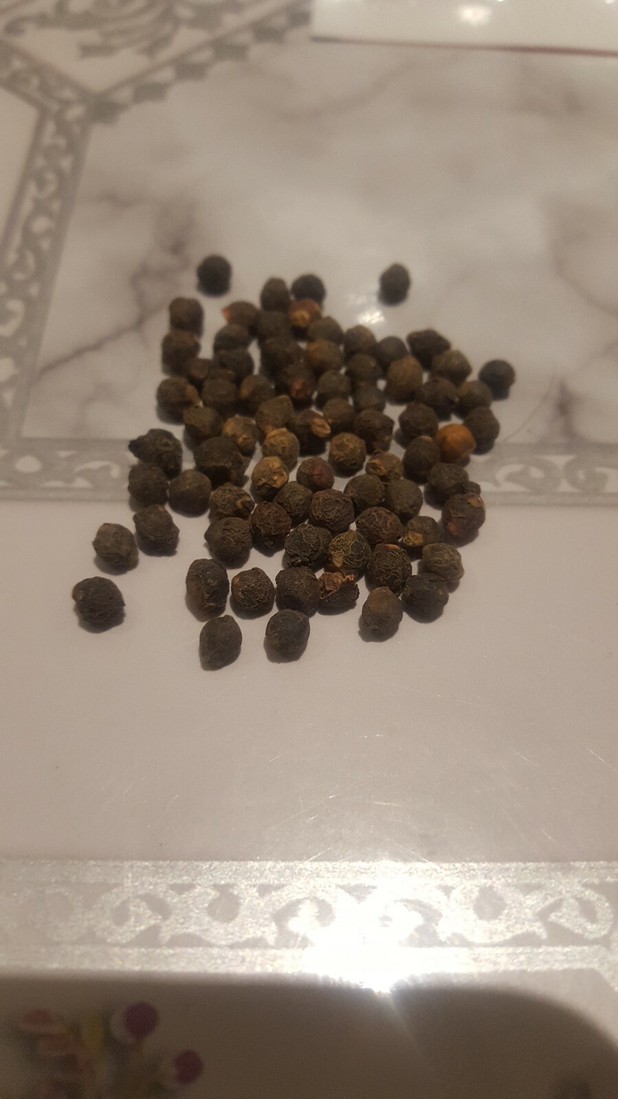 Malabar Spinach. BUY 2 GET 1 FREE. Red Vine Climbing Poi Shak Garden ...