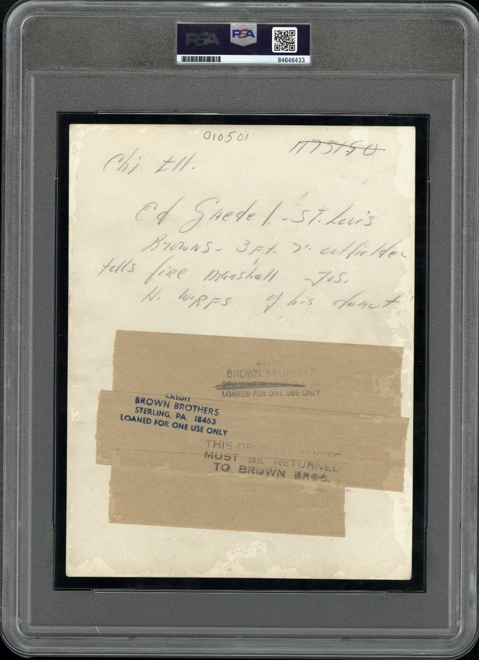 Eddie Gaedel 1951 St. Louis Browns Talks his Debut Type 1 Original ...