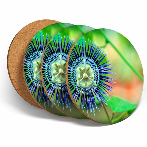 4 Set - Passion Flower Green Nature Coasters - Kitchen Drinks Coaster ...