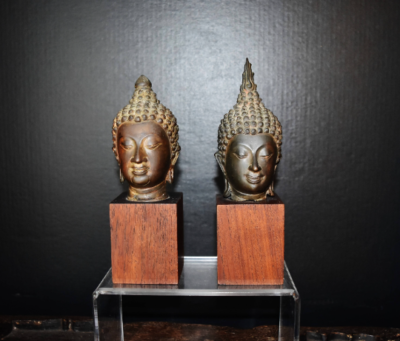 Buddha Snails Snail Head Reputable Lord Buddha Multicolour