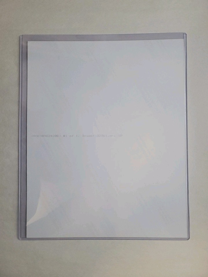 Kelly Kelly Hand Signed 8x10 Photograph Autograph Women's Pro Wrestling ...