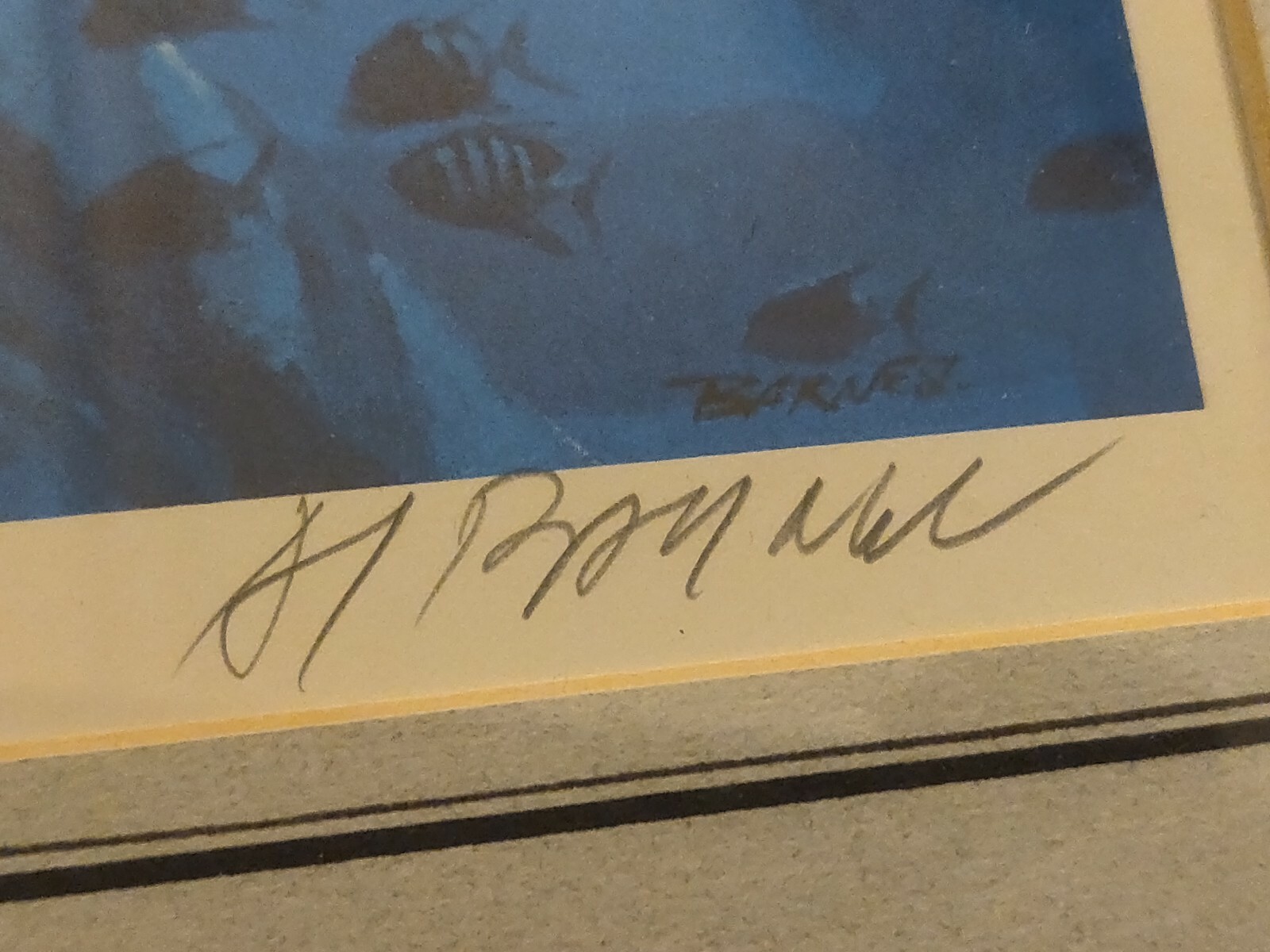 1993 Texas Saltwater Stamp and Print by Al Barnes King Mackerel 16" X ...