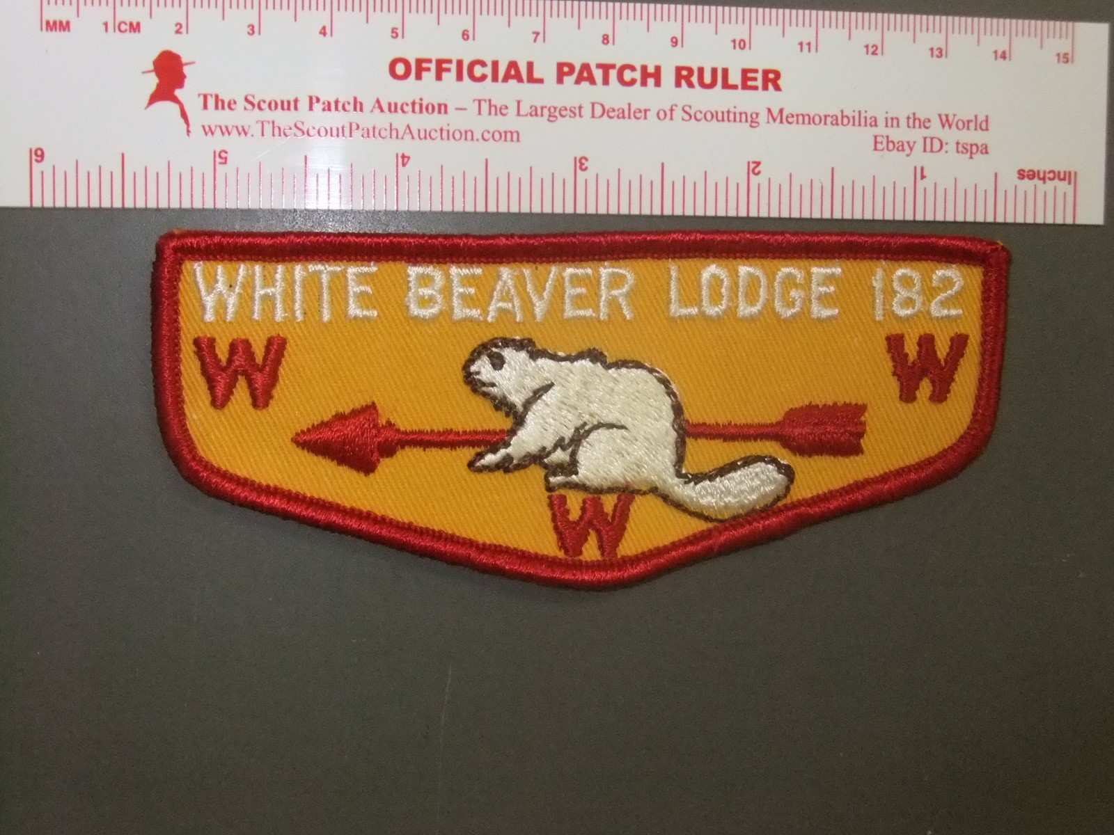 Boy Scout OA 182 White Beaver flap 2896EE | eBay