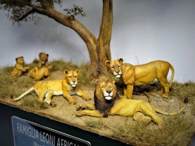 Cix Models 54mm 1/35 Pride Family of Lions (Male, 2 Lionesses, 3 Cubs ...