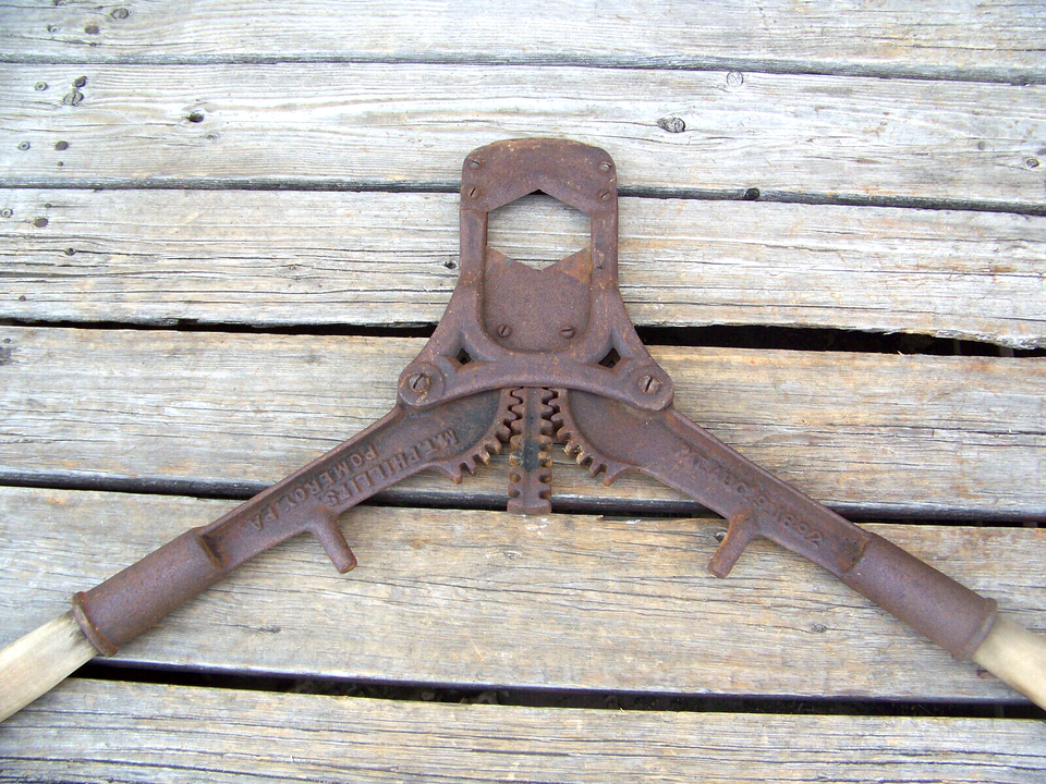 Vintage 1892 Dehorning Clipper Bull Horn Cutter 46" Cattle Dehorner ...