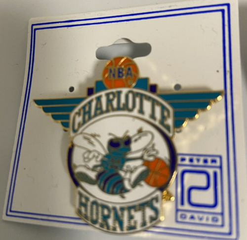 Charlotte Hornets Vintage Pins With Team Name And Logo NBA Set Of Two ...