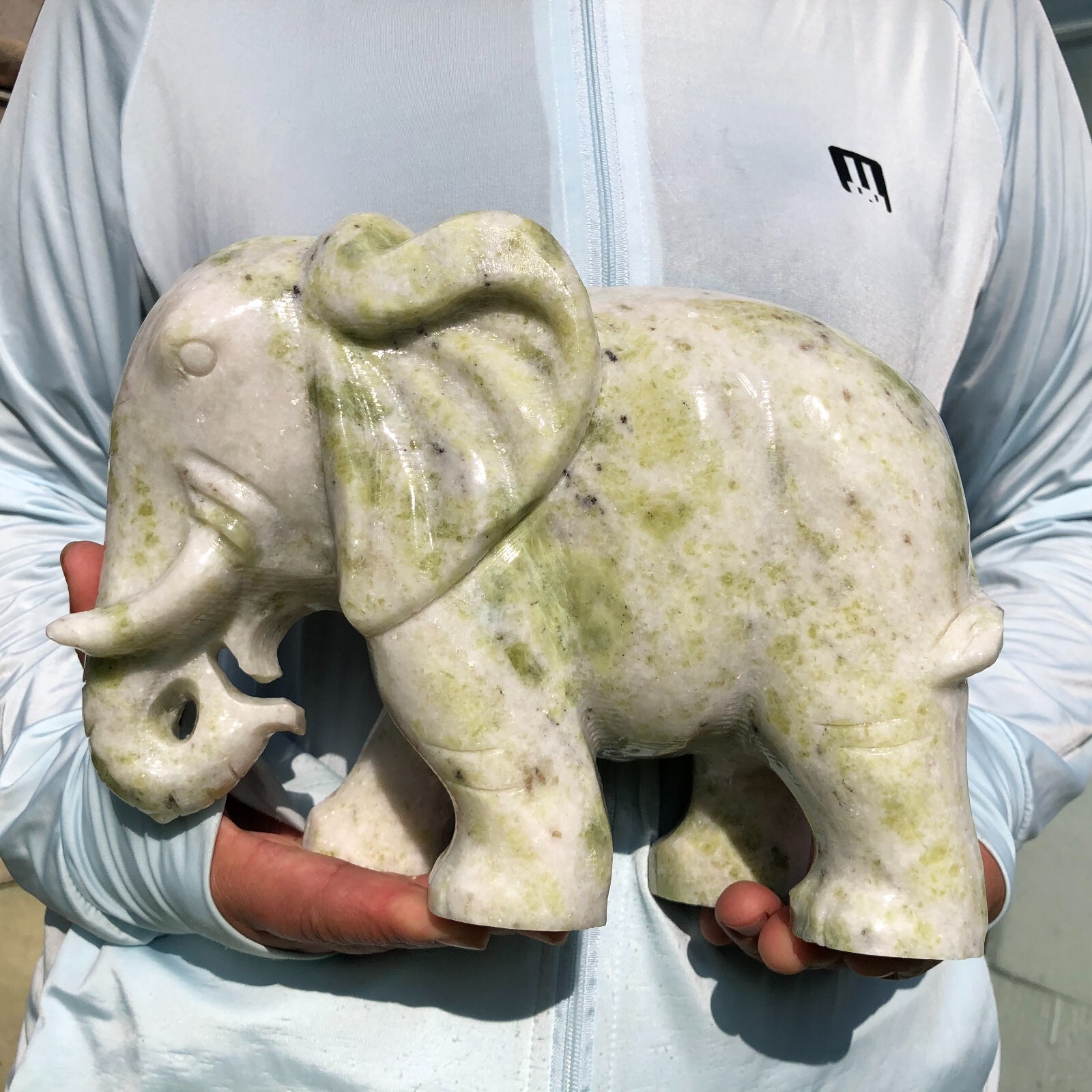 11.5LB Natural Lantian Jade elephant skull hand carved crystal specimen ...