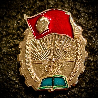 Vintage Chairman Mao Tse Tung Zedong Chinese Green Book Pin Badge | eBay