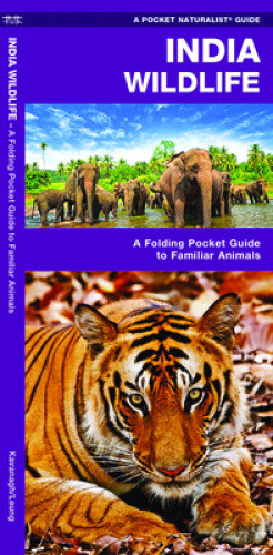 India Wildlife: A Folding Pocket Guide to Familiar Animals (Pocket ...