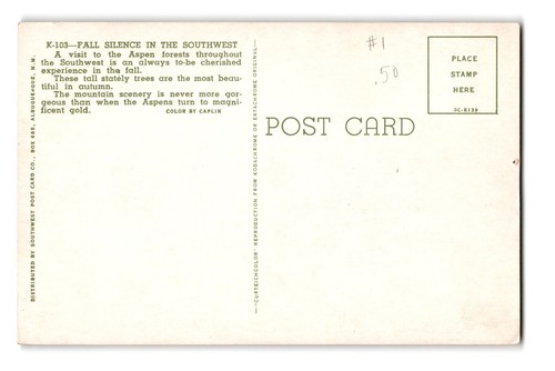 Fall Silence in the Southwest, Aspen Trees by a Tranquil Lake, Postcard ...