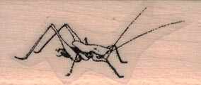 Lucky Cricket 3/4 x 1 1/2" Rubber Stamp, Insect Stamp, Cricket Stamp | eBay
