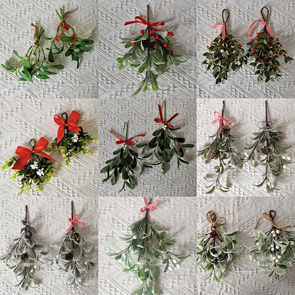 Christmas Mistletoe Plant