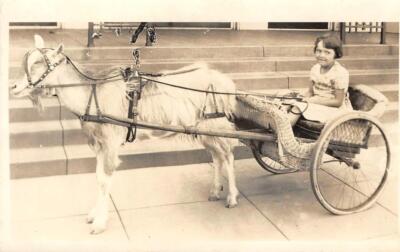 RPPC Girl in Goat Cart Wagon c1920s Real Photo Vintage Postcard | eBay