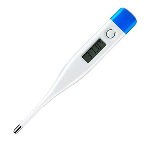 Clenera Digital Thermometer | eBay