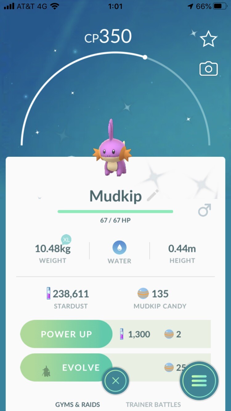 Pokemon Shiny Mudkip