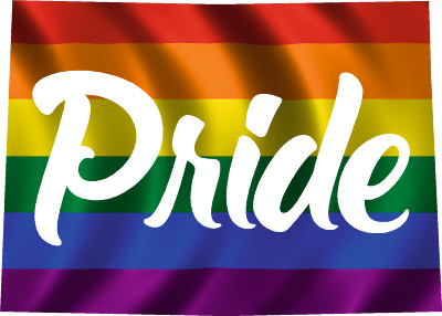 Colorado State Pride Flag - 5.25" x 3.75" Vinyl Decal Sticker ebn ...