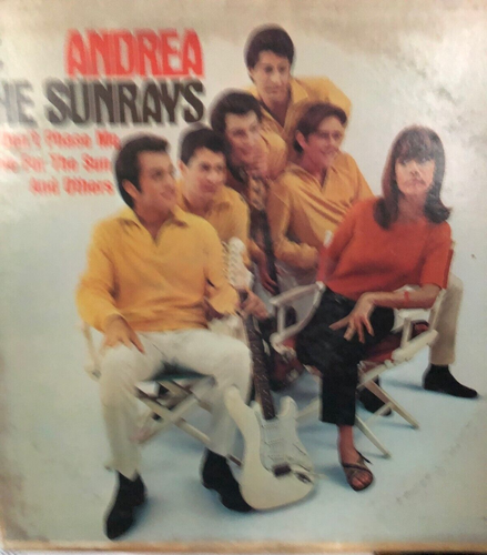 THE SUNRAYS Andrea Mono Tower LP 1966 Beach Boys Brian Murry Wilson SURFPOP | eBay