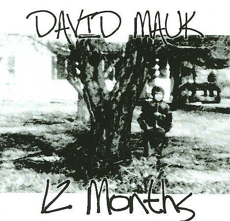 12 Months * by David Mauk (CD, 2008, Thera Records) for sale online | eBay