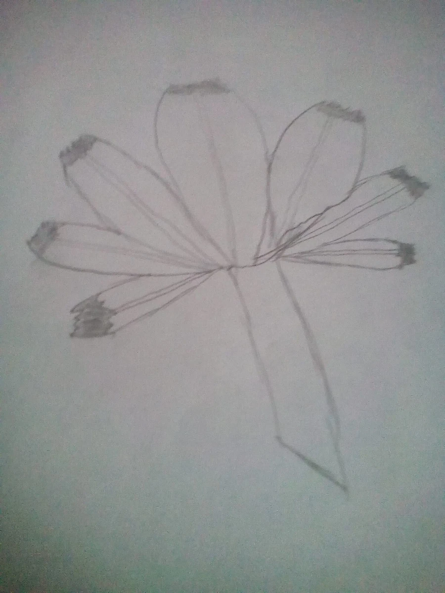 How To Draw Weed Step By Step