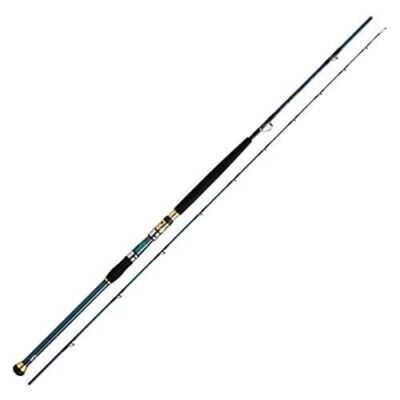 Daiwa GOUIN AOMONO S-215 - Q Big Game Rod | eBay