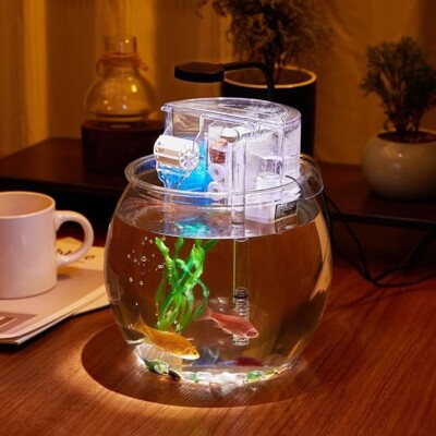 Aquarium Small Fish Tank with Filter and Light Break-Resistant Plastic ...