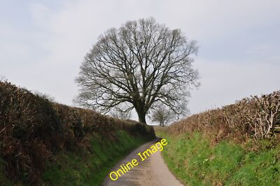 Photo 6x4 Mid Devon : Countryside Road Exebridge A road between ...