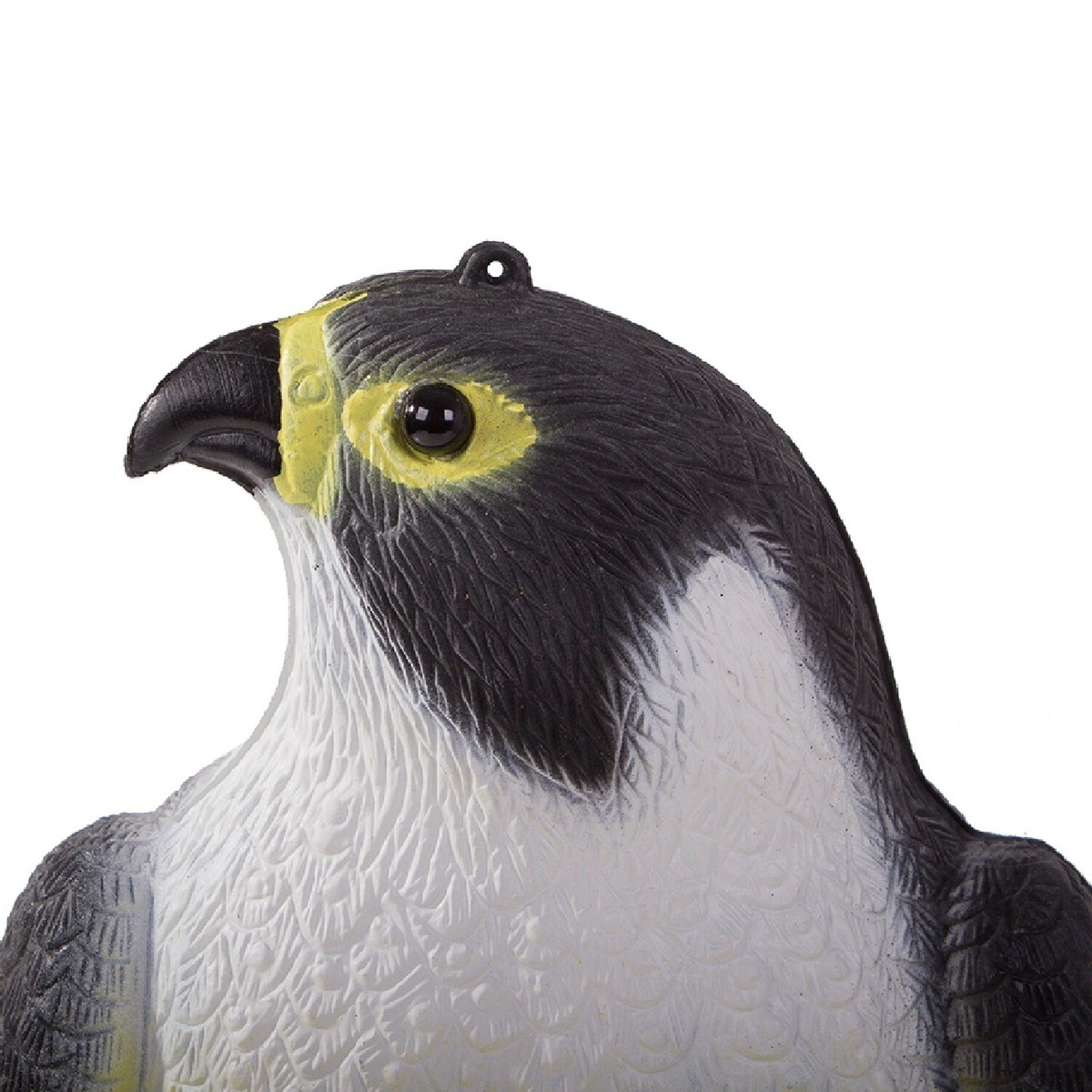 Falco Finto Con Dissolvenza Bassa