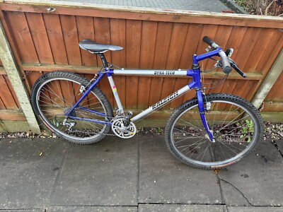 Couple of Dyna-Tech Encounters (one in need of rescue). | Retrobike