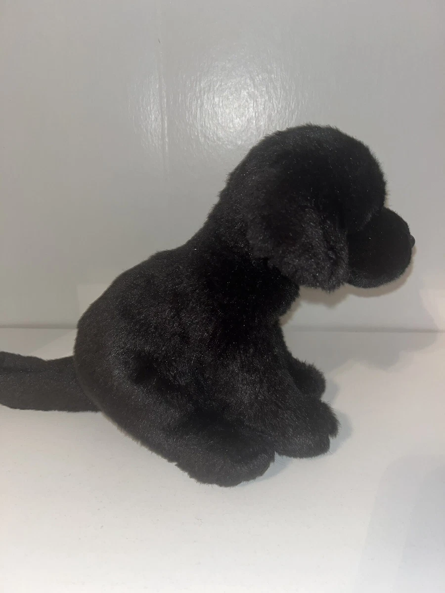 Webkinz Signature Black Lab